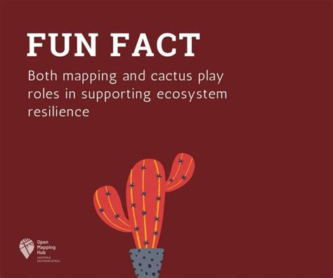 How Mapping And Cactus Support Desert Ecosystems The Open Mapping Hub