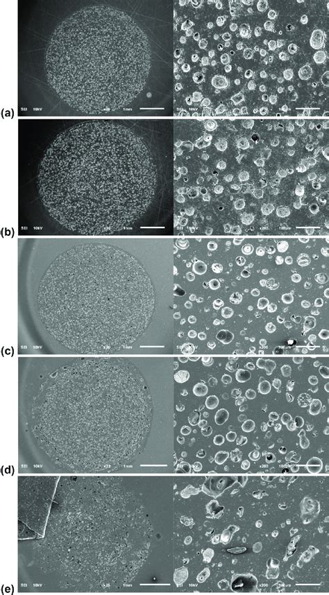 SEM Images Of PVDF Foam At Different Master Batch A 2 5 B 5 Download Scientific