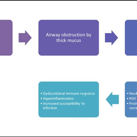 Cf Infection Inflammation Correlation Download Scientific Diagram