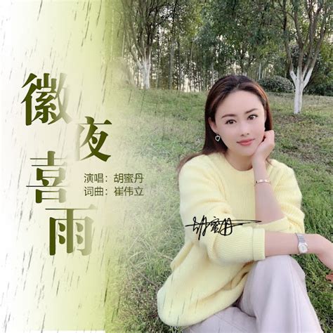 徽夜喜雨 Dj何鹏版 Youtube Music