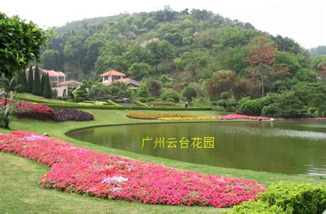 广州市内免费景点大全 广州哪里好玩又免费 随意云