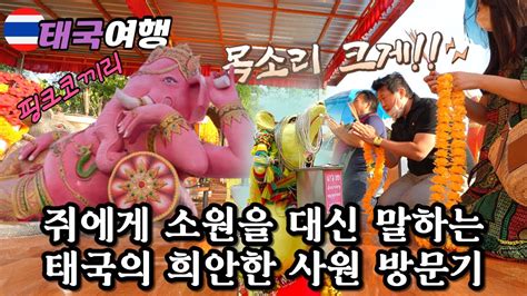 쥐한테 대신 소원을 비는 태국의 희안한 핑크 코끼리사원 방문기 왓 사만 랏타라남 태국ep03 Youtube