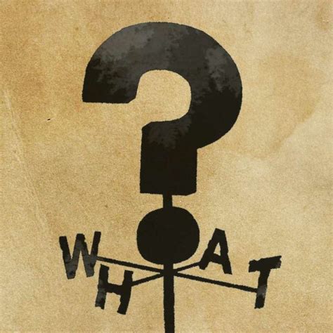 The Mystery Shack In Gravity Falls