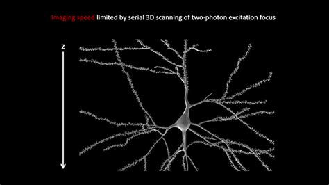 VIDEO Kavli Institute For Brain And Mind Imaging The Brain From