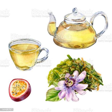 유리 주전자와 컵 열정 꽃 흰색 배경에 격리된 과일 수채화 그림 개체 그룹에 대한 스톡 벡터 아트 및 기타 이미지 개체 그룹