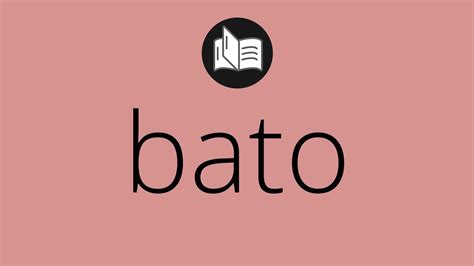 Qu Significa Vato En M Xico