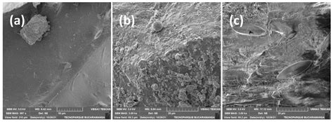 Characterization Of Microplastics And Mesoplastics And Presence Of