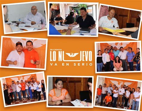 Registro De Las Candidatas Y Candidatos Movimiento Ciudadano Chiapas
