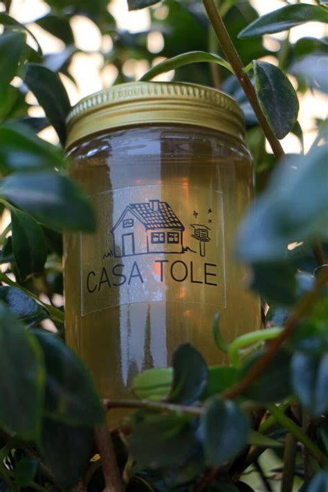 Mel de Uruçu Amarela Abelhas Nativas Casa Tole 100ml A Casa do