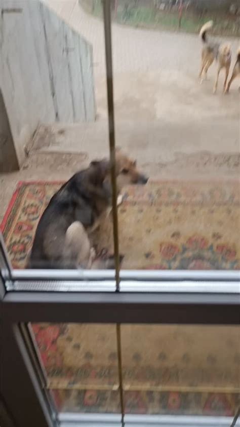 Instagram Video By Оксана Савчук • Dec 13 2024 At 1 46 Am