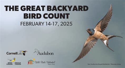 Great Backyard Bird Count — Spokane Audubon Society
