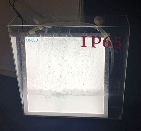 Supply IP LED Panel Light P II W W Wholesale Factory Jiangsu Ofled Optoelectronics