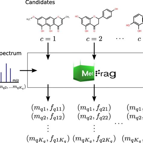 PDF Improving MetFrag With Statistical Learning Of Fragment Annotations