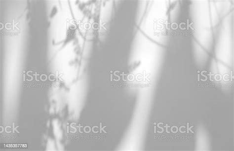 추상은 제품 프리젠 테이션 배경 및 모형에 오버레이 흰색 텍스처 배경에 자연 그림자 오버레이를 떠난다 0명에 대한 스톡 사진 및 기타 이미지 Istock