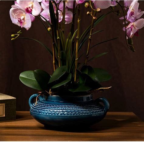 SOSSEG Flores artificiales de orquídea falaenopsis flores de orquídea sintética con jarrón de