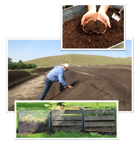 Bzt® Compost Activator Design Group