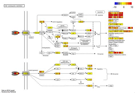 development of a bioinformatics platform for analysis of quantitative transcriptomics and