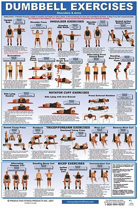 Arm Exercises Chart For Women