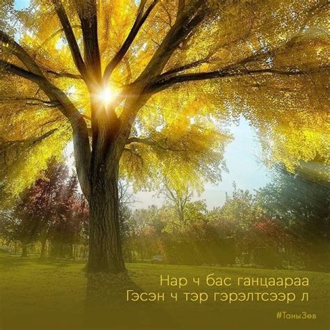 ТАНЫ ЗӨВ Сайхан бүхэн энгийнээс эхэлдэг🥰🥰🥰 1 ШАНАЛАЛ