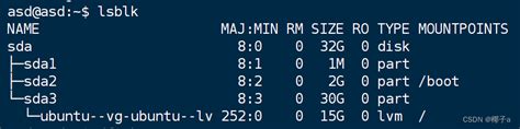 为Ubuntu 24 04 live server amd64磁盘扩容 EW帮帮网