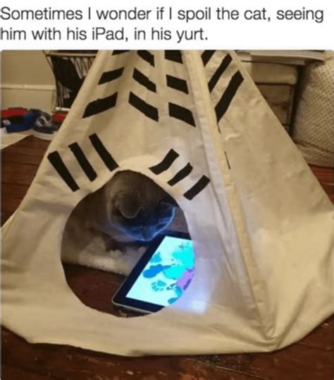 So Cute R Wholesomememes