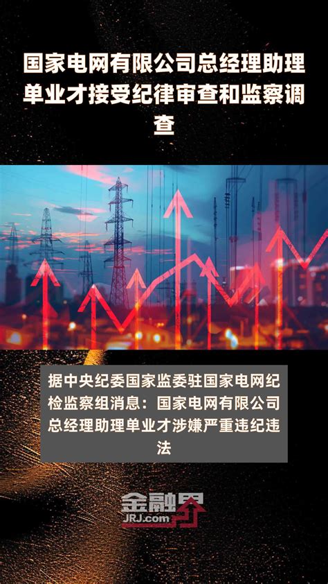 国家电网有限公司总经理助理单业才接受纪律审查和监察调查快报凤凰网视频凤凰网