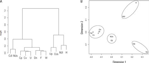Multidimensional Scaling Analysis Of Syllable Types Hierarchical