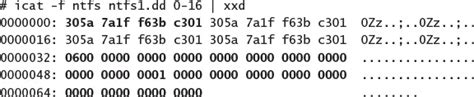 Images File System Forensic Analysis Book