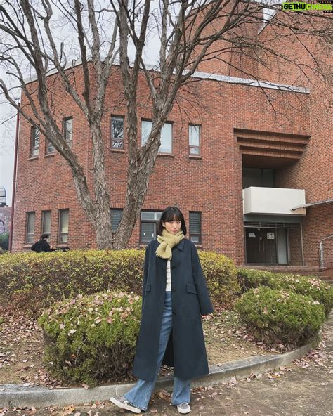 Won Jin Ah Wiki Biography Age Gallery Spouse And More