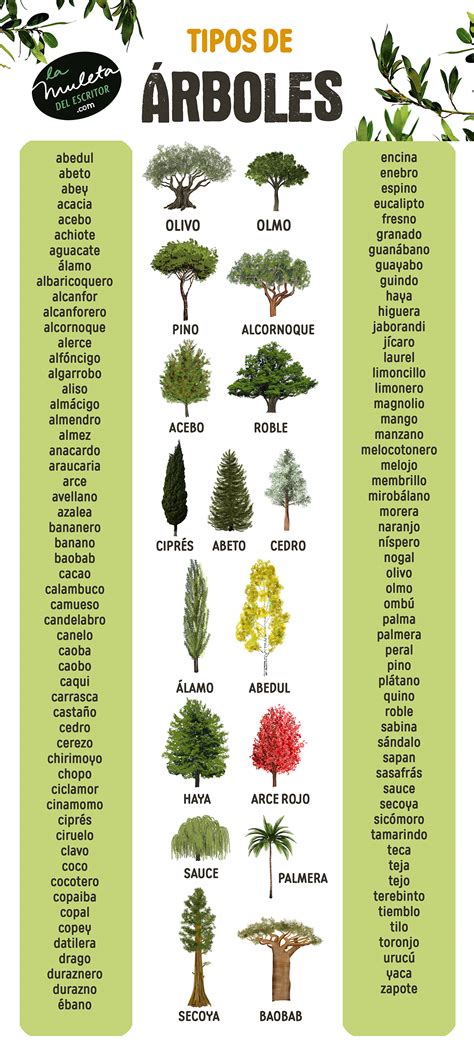Tipos De árboles