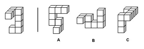 A Shepard And Metzler Type 3d Mental Rotation Task Download Scientific Diagram