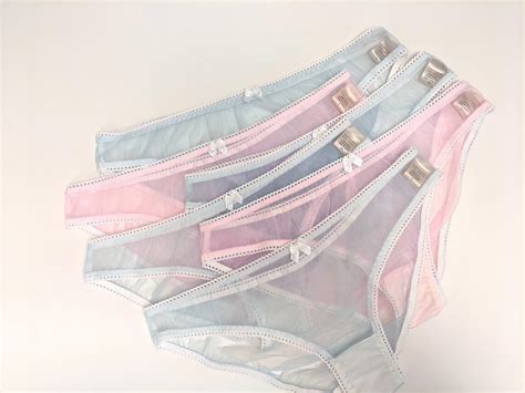 Sheer Knickers Sheer Panties Pink Panties Blue Knickers Etsy