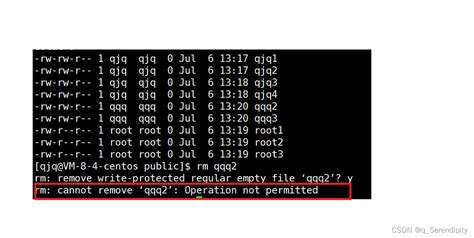 Linux基本权限linux给所有用户执行权限用什么字符参数 Csdn博客