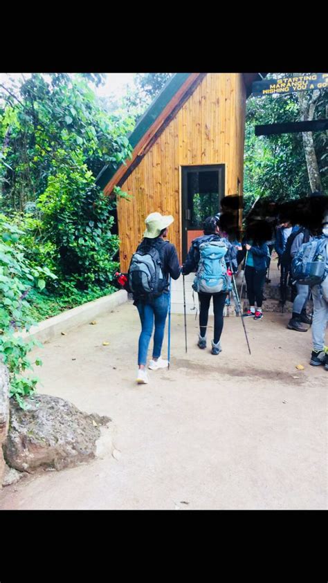 Simulizi Ya Safari Yangu Ya Kupanda Mlima Kilimanjaro Jamiiforums