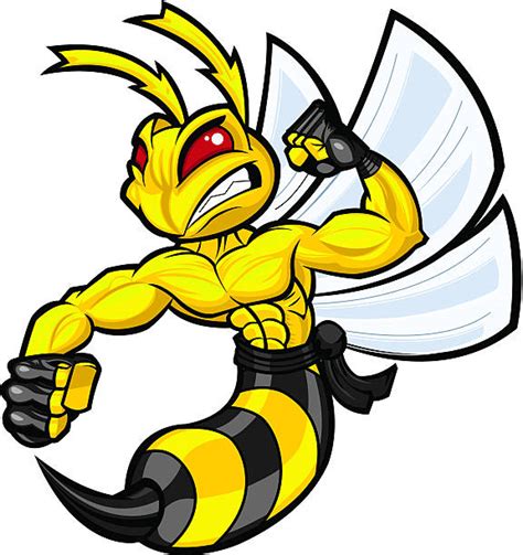 Best Wasp Illustrations Royalty Free Vector Graphics And Clip Art Istock