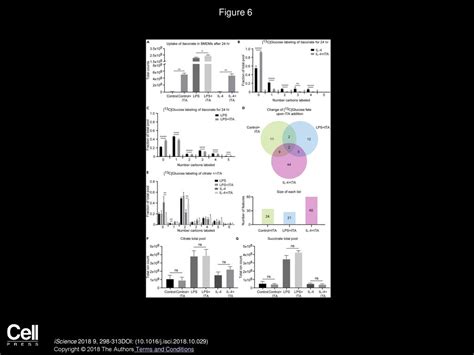 Volume 9 Pages November 2018 Ppt Download