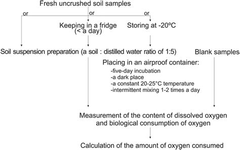 A Workflow Of Estimation Of Biological Consumption Of Oxygen In The