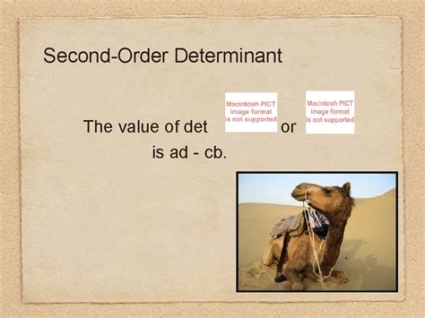 2 5 Determinants Multiplicative Inverses Of Matrices DETERMINANT