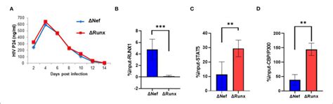 recruitment of stat5 and cbp p300 to the ltr in primary cells with