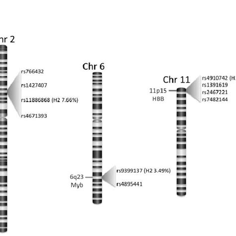 Structure Of The Deferiprone Iron Complex Three Molecules Of
