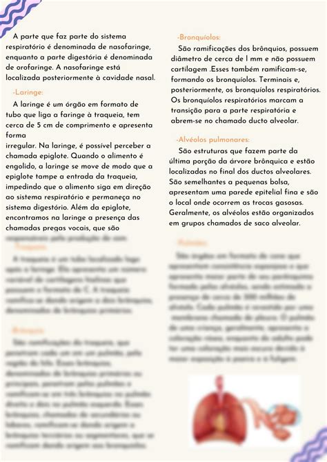 SOLUTION Sistema Respiratório Studypool
