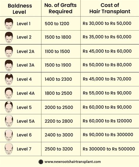 Hair Transplant Cost In India Get The Best Price For