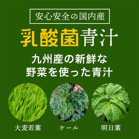 青汁 乳酸菌 粉末タイプ 送料無料 3種の九州産野菜青汁＋乳酸菌 3g×20袋×10個計200袋010 4582351890487
