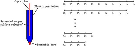 Structure Diagram Of Custom Made CuCuSO Non Polarizable Electrode Download Scientific Diagram