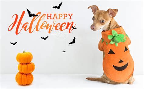 Mogoko Dog Cat Halloween Pumpkin Costumepet Cosplay