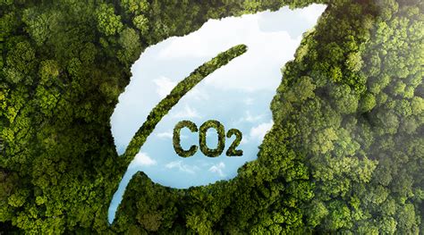 Promovendo Sustentabilidade Estratégias Para Um Futuro Verde Qualifica