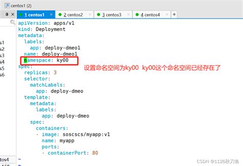 K8s集群的pod控制器replicaset支持滚动更新 Csdn博客