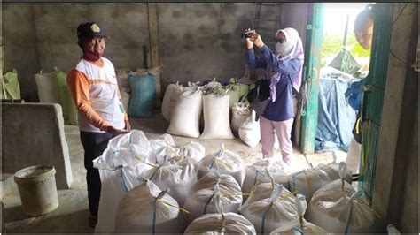 Harga Beras Kg Rp Ribu Tingkat Penggilingan Di Musi Rawas Masih Musim Panen Tribunsumsel Com