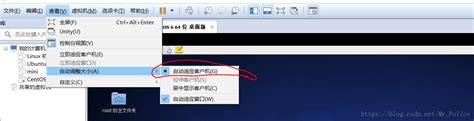 关于linux操作系统中界面太小调节方法 可以完美自动调节适应屏幕大小linux如何自动适应客户机 Csdn博客