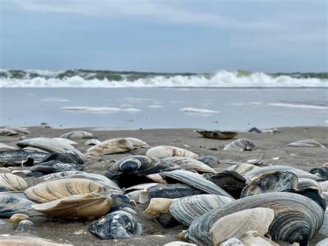 Waiting For Waves Photograph By Cheryl Scanlan Pixels